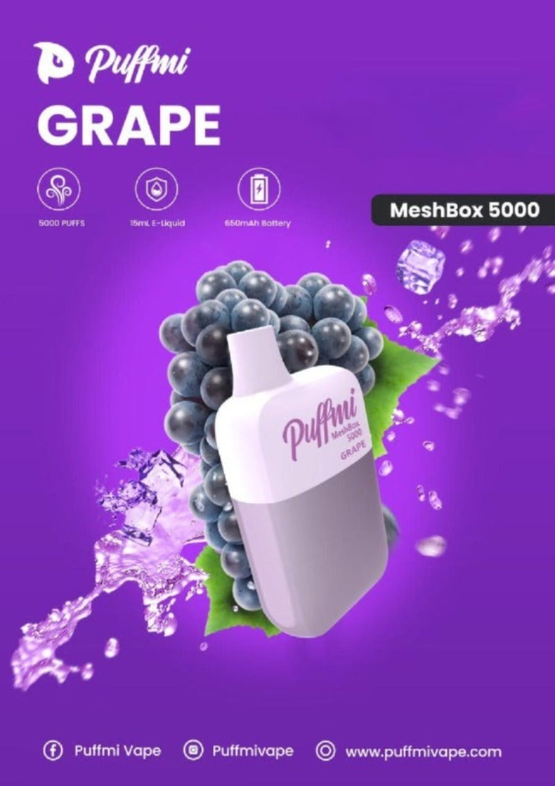 PUFFMI MESH BOX 5000 PUFF – Rider Vapes