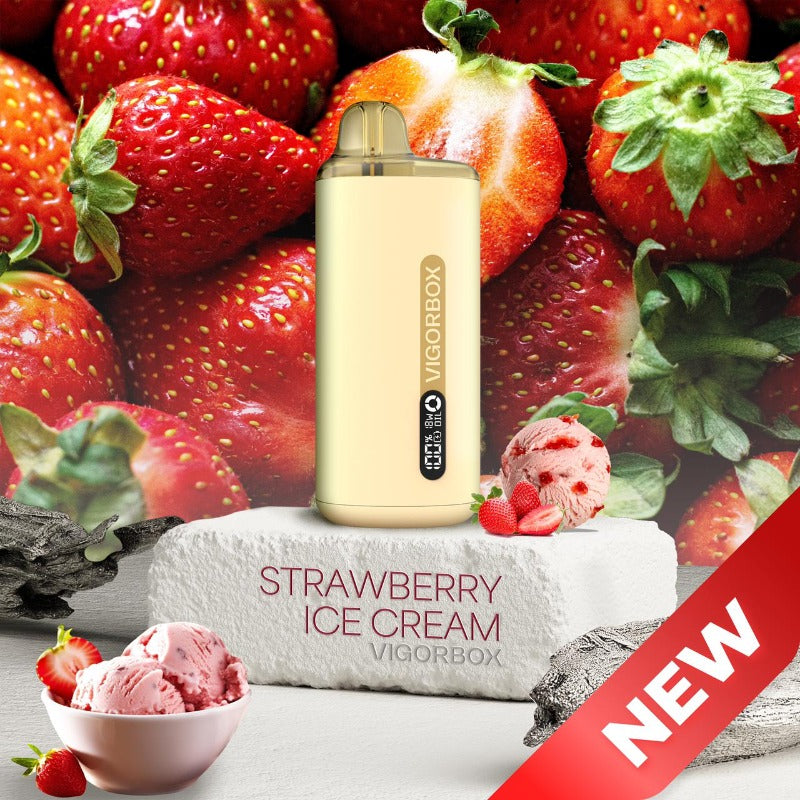 VIGORBOX ALADDIN 10000 PUFFS – Rider Vapes